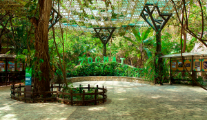 Zoológico – Miguel Álvarez del Toro